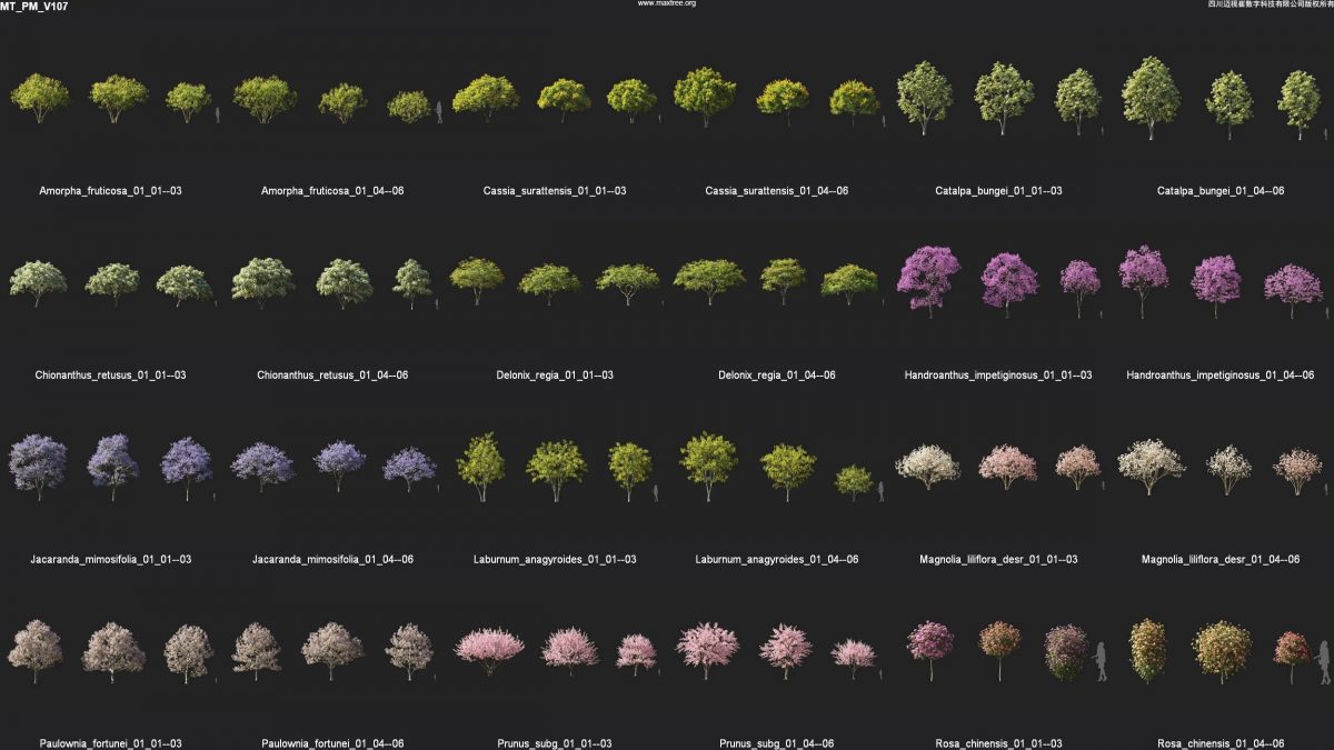 TREE ASSETS VOL 107 – Enscape DatHouzz