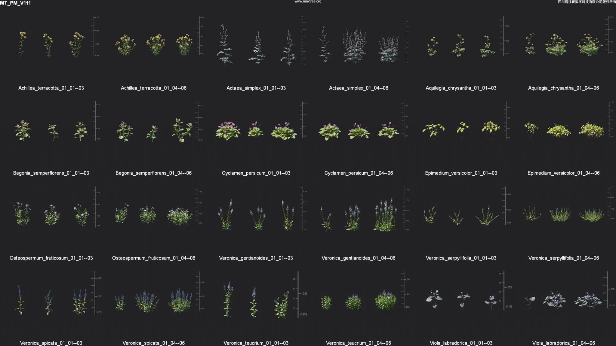 TREE ASSETS VOL 111 – Enscape DatHouzz