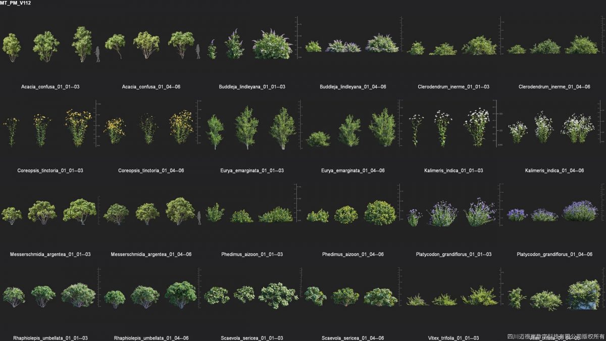 TREE ASSETS VOL 112 – Enscape DatHouzz