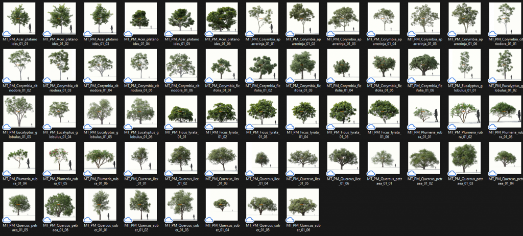 TREE ASSETS VOL 22 – Enscape DatHouzz