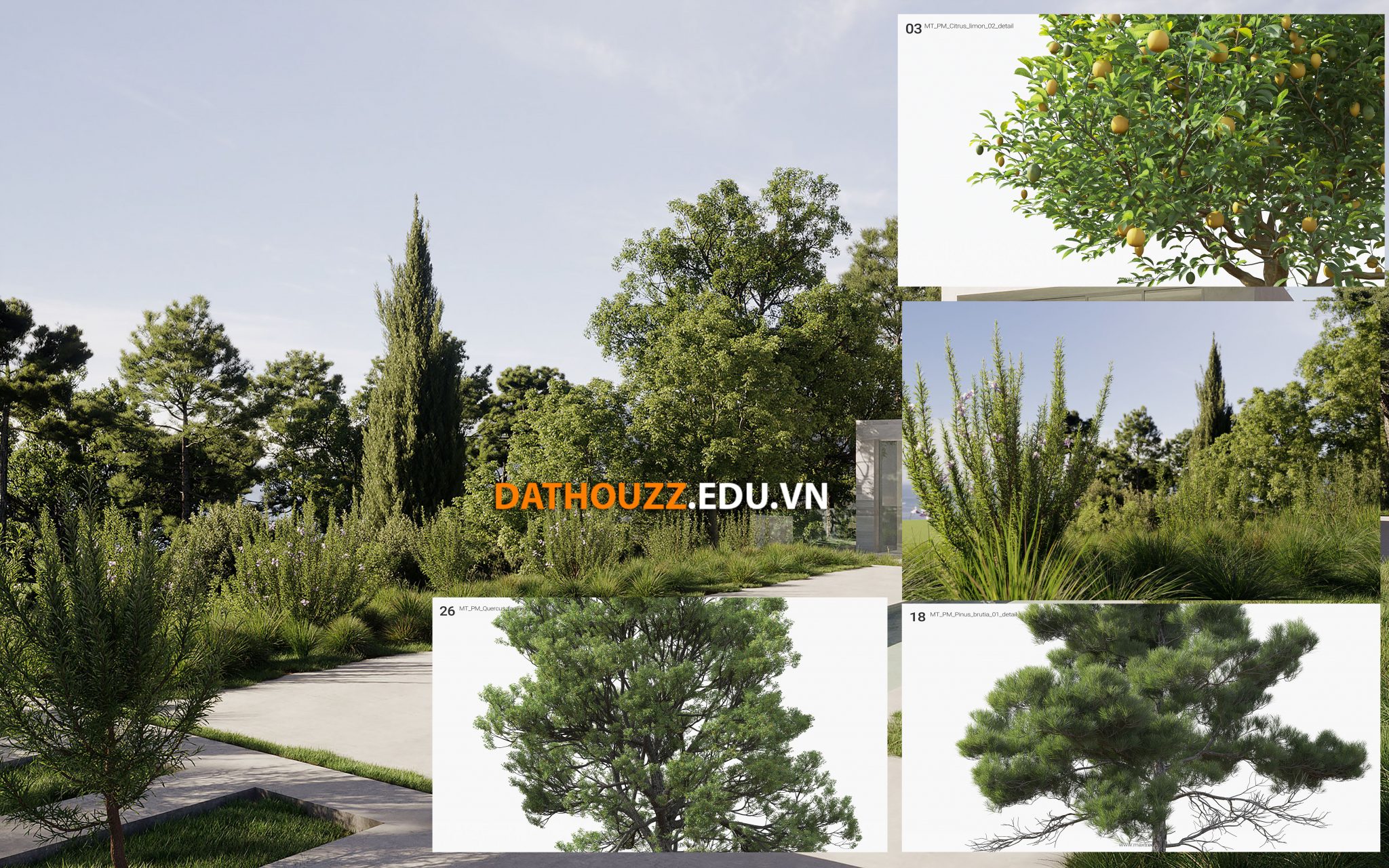 TREE ASSETS VOL 25 – Enscape DatHouzz