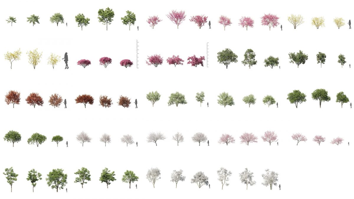 TREE ASSETS VOL 31 – Enscape DatHouzz