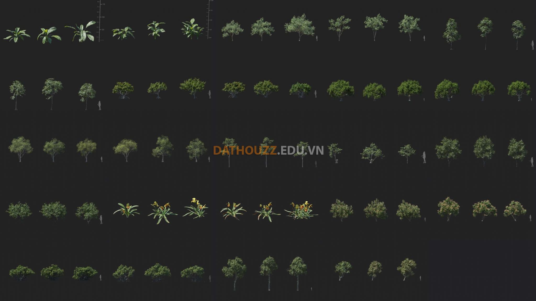 ASSETS TREE VOL 96 – Enscape DatHouzz