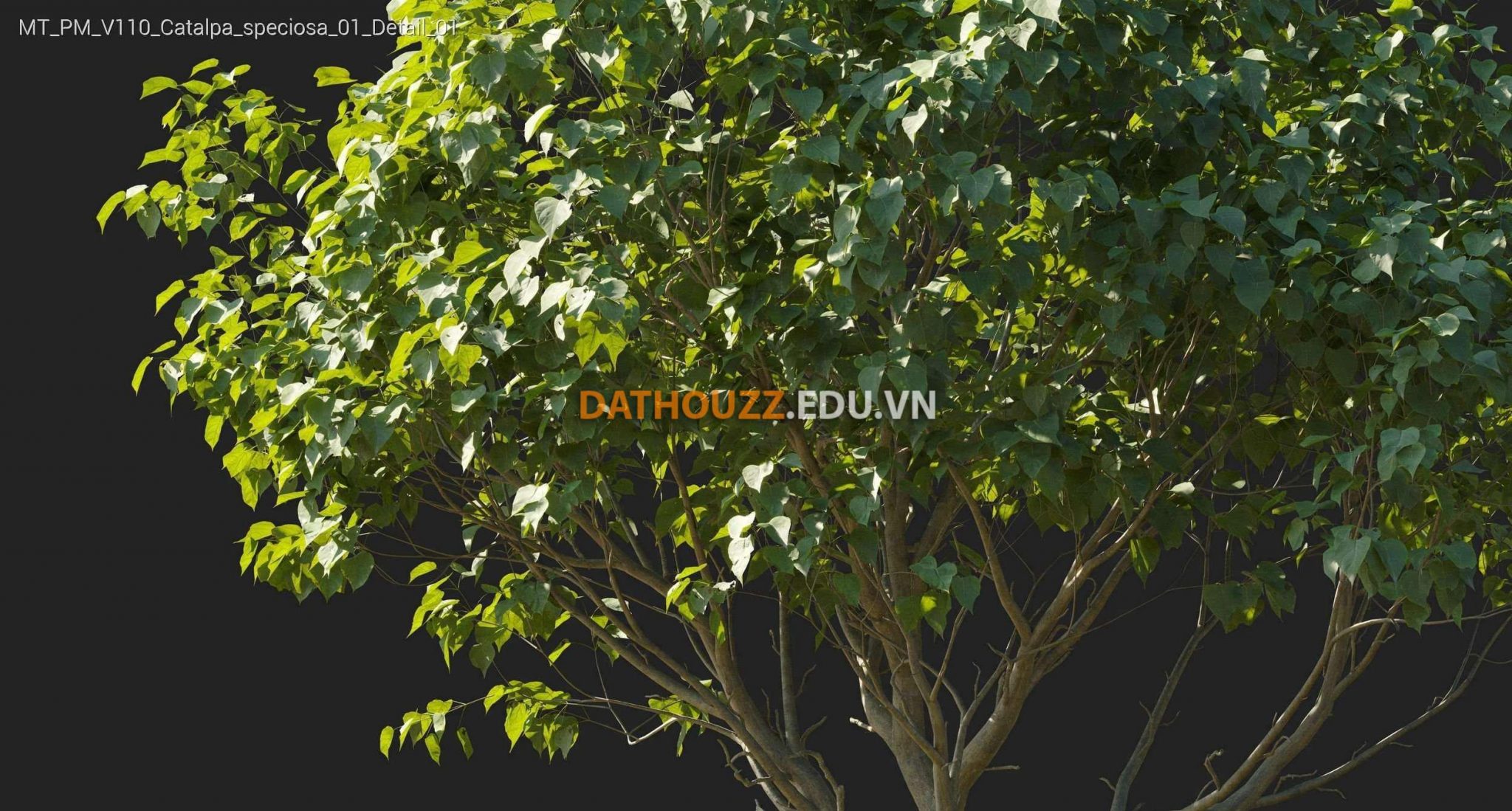 ASSETS TREE VOL 110 – Enscape DatHouzz