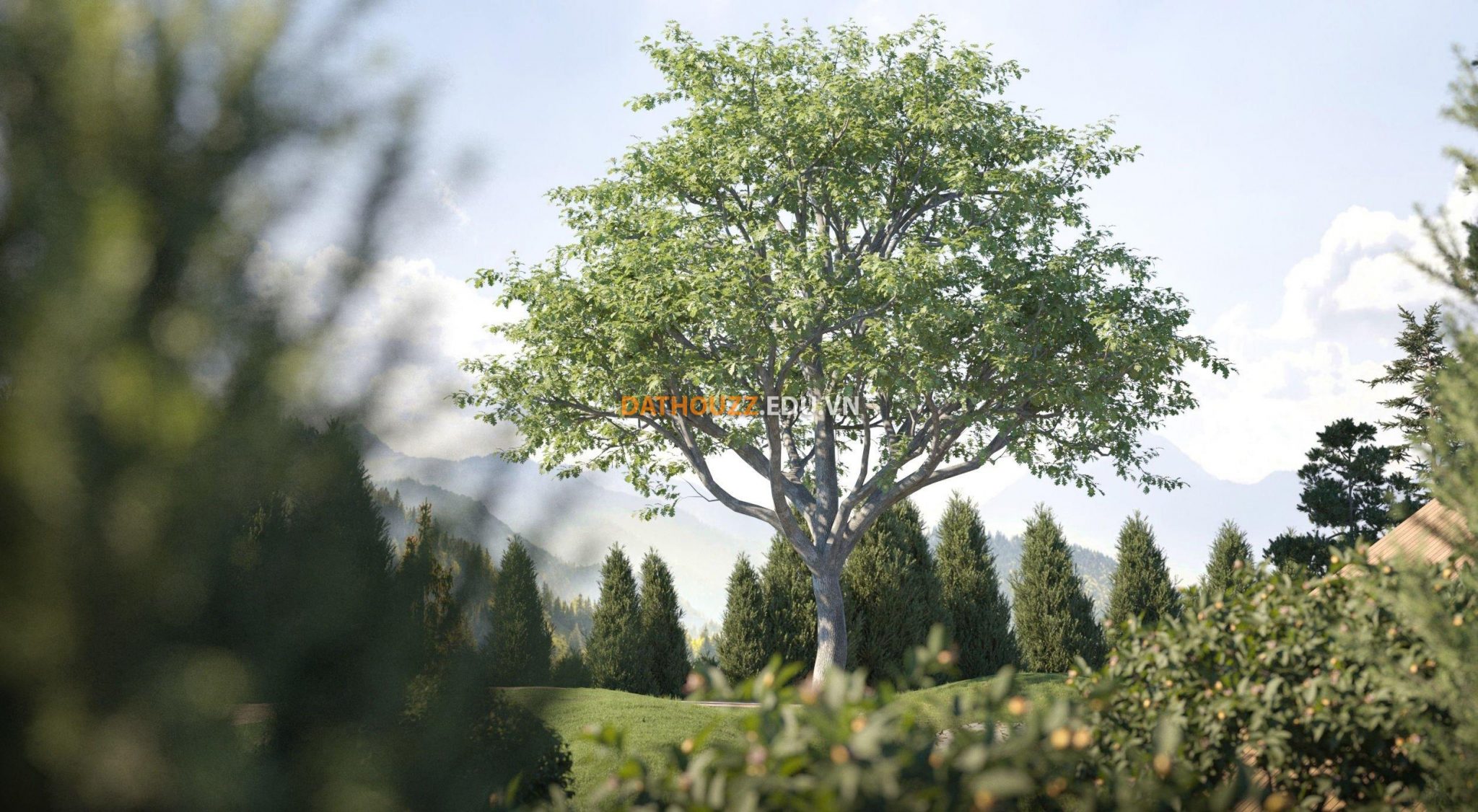 ASSETS TREE VOL 120 – Enscape DatHouzz