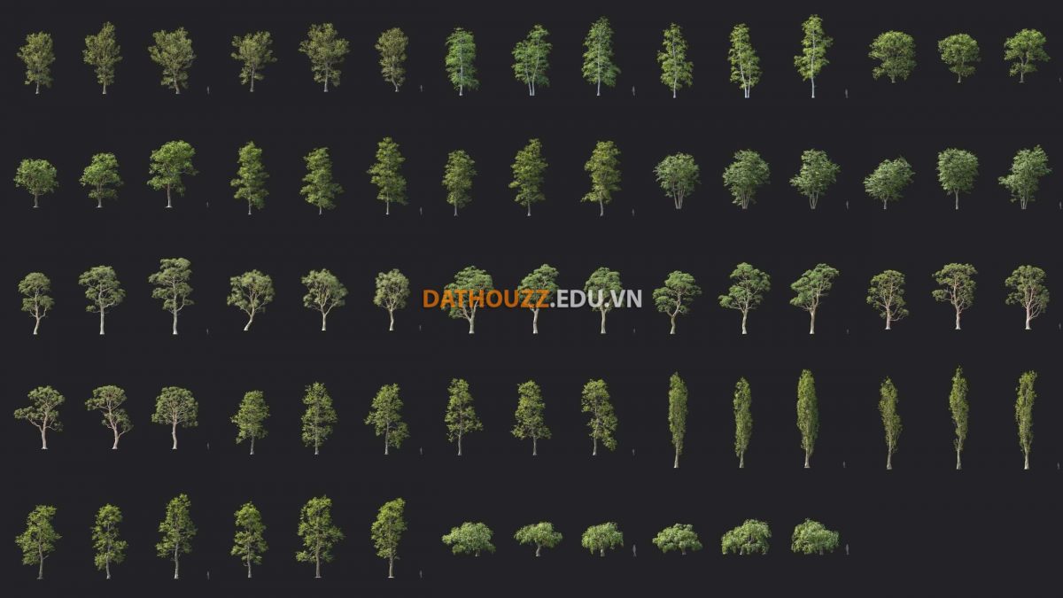 ASSETS ENSCAPE – TREE VOL 124 – Enscape DatHouzz