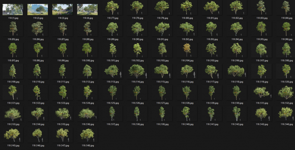 ASSETS TREE VOL 118 – Enscape DatHouzz