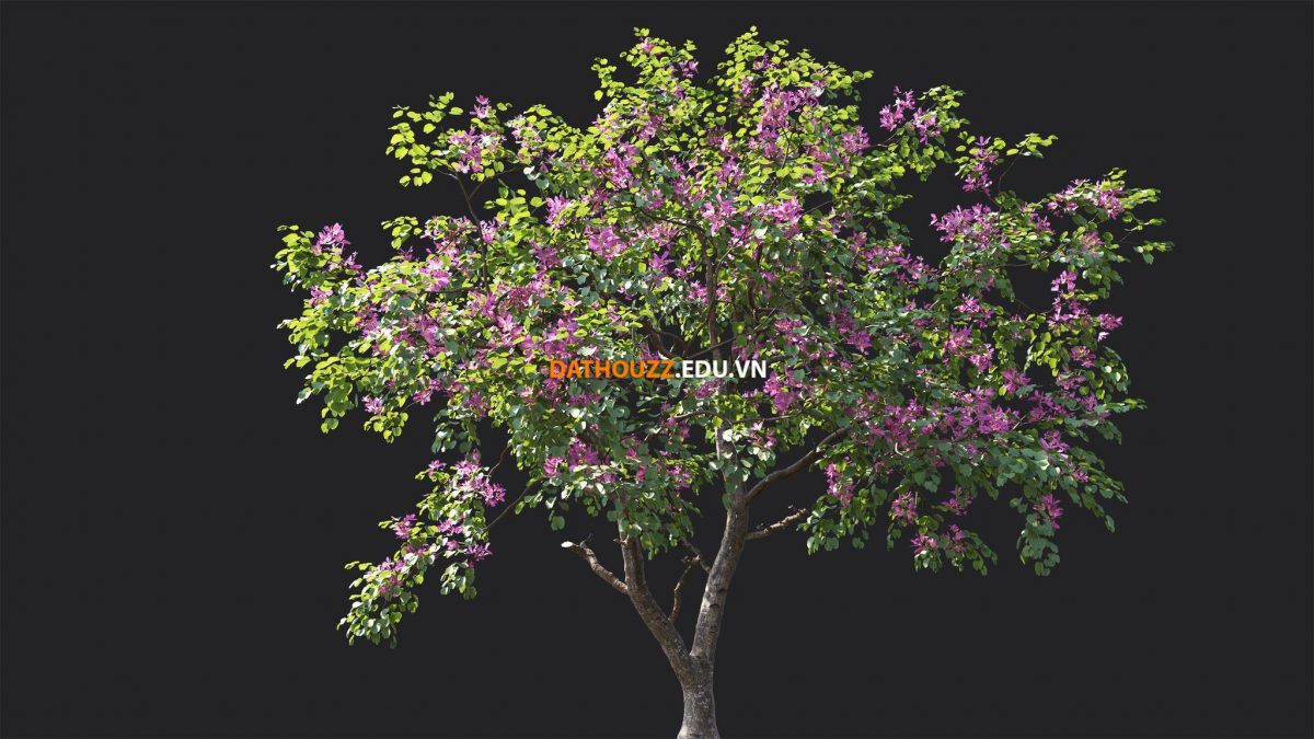 ASSETS ENSCAPE – TREE VOL 149 – Enscape DatHouzz