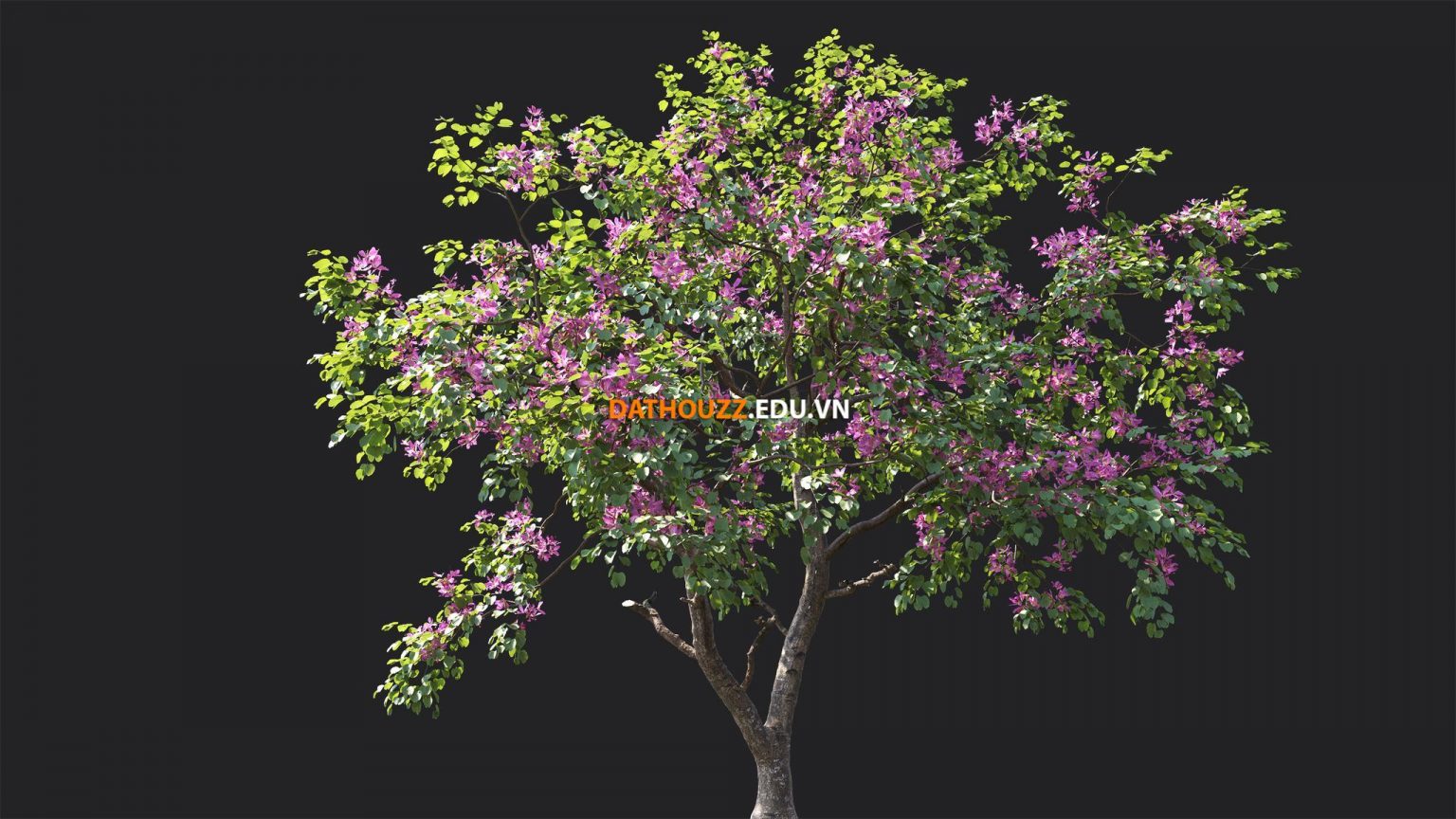 ASSETS ENSCAPE – TREE VOL 149 – Enscape DatHouzz
