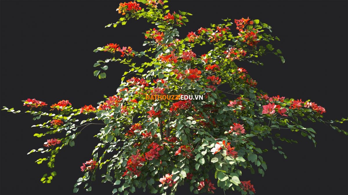 ASSETS ENSCAPE – TREE VOL 149 – Enscape DatHouzz