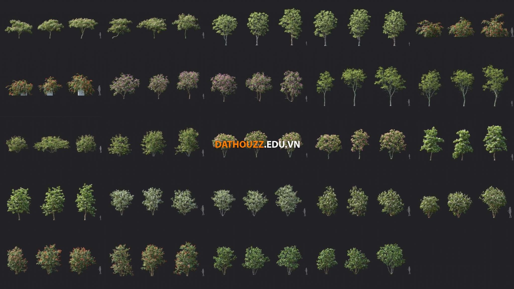 ASSETS ENSCAPE – TREE VOL 149 – Enscape DatHouzz