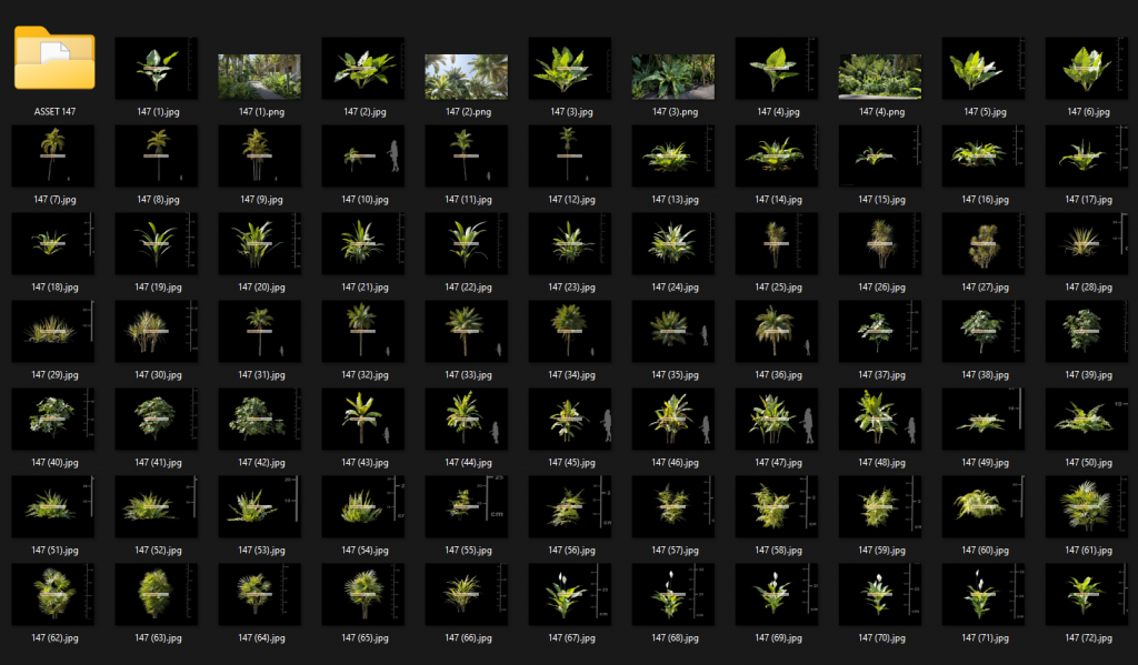 ASSETS ENSCAPE – TREE VOL 147 – Enscape DatHouzz