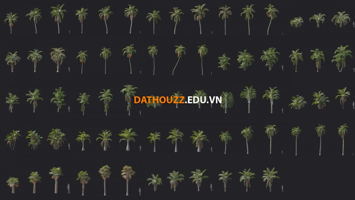 ASSETS ENSCAPE – TREE VOL 154 – Enscape DatHouzz