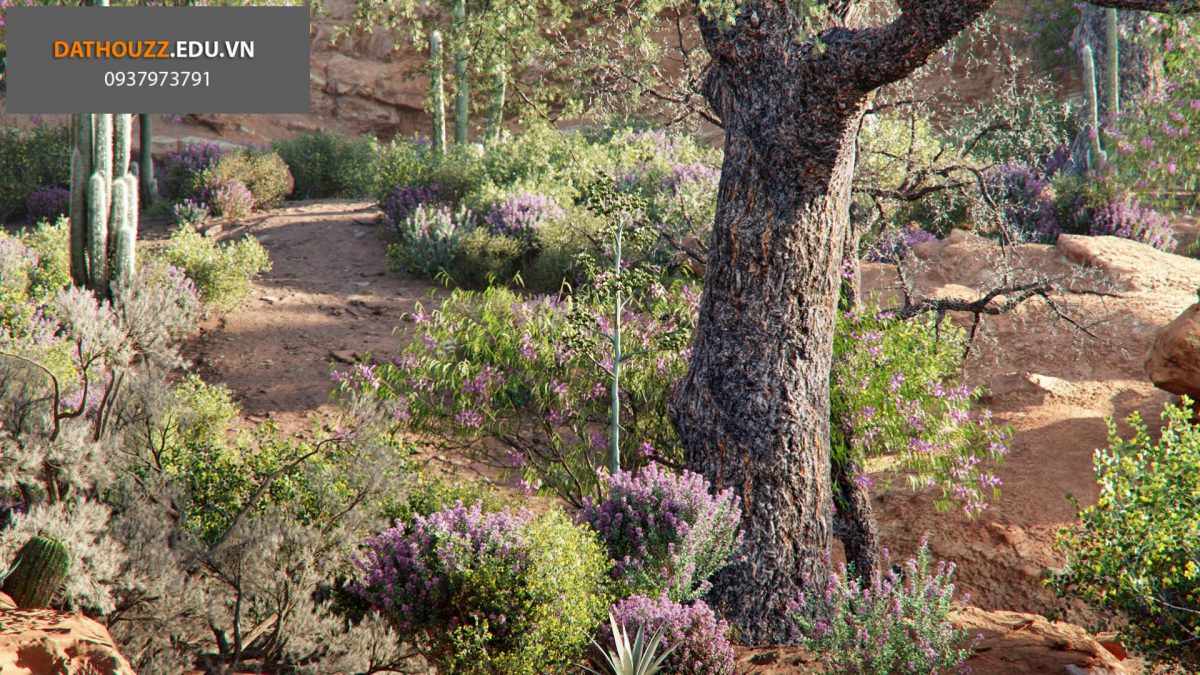 ASSETS ENSCAPE – VIP VN 42(Mexican Plants) – Enscape DatHouzz